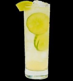 The Big Bucket Margarita Mixer: Master of Mixes