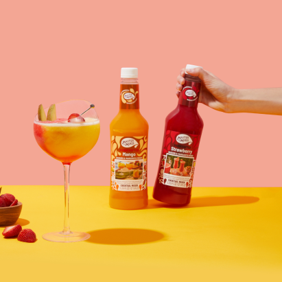 Our Mixer Products in Entirety: Master of Mixes